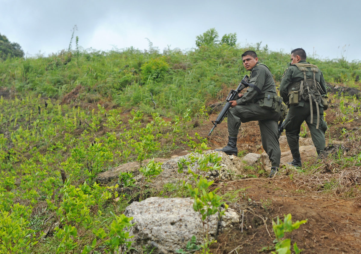 Cocaine Production Hits Record High, Colombia’s Coca Crop at 253,000 ...