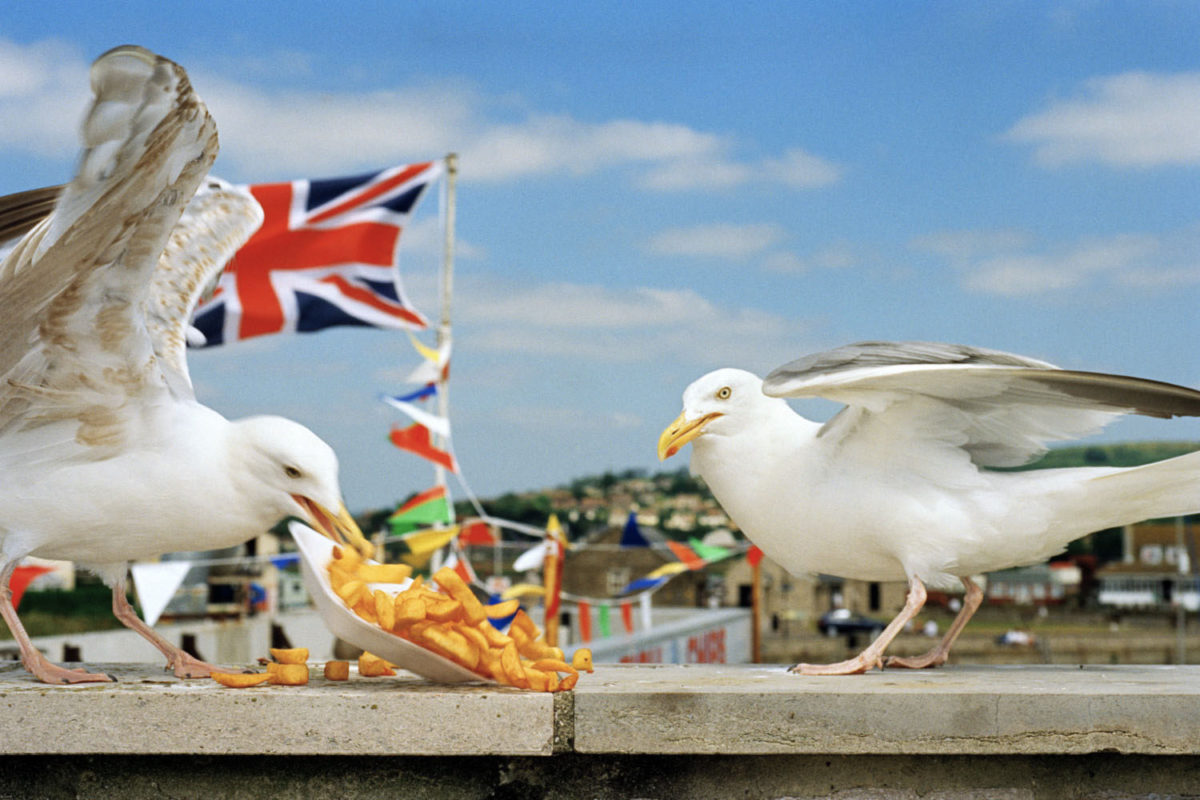 From Brighton to Bogotá, Martin Parr presents his Souvenir | The City ...