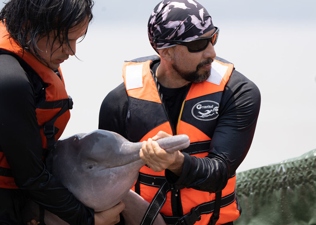 Colombia’s Fernando Trujillo named Nat Geo’s 2024 Explorer of the Year ...