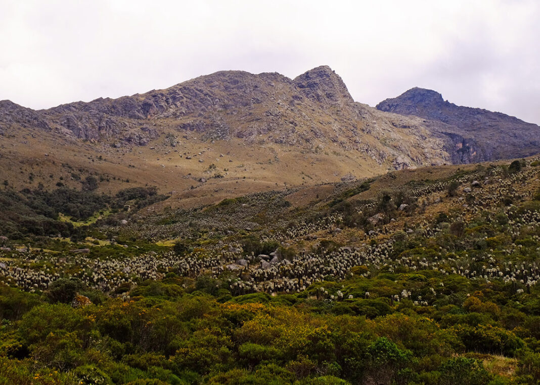 Hiking Boyacá's majestic El Consuelo páramo | The City Paper Bogotá