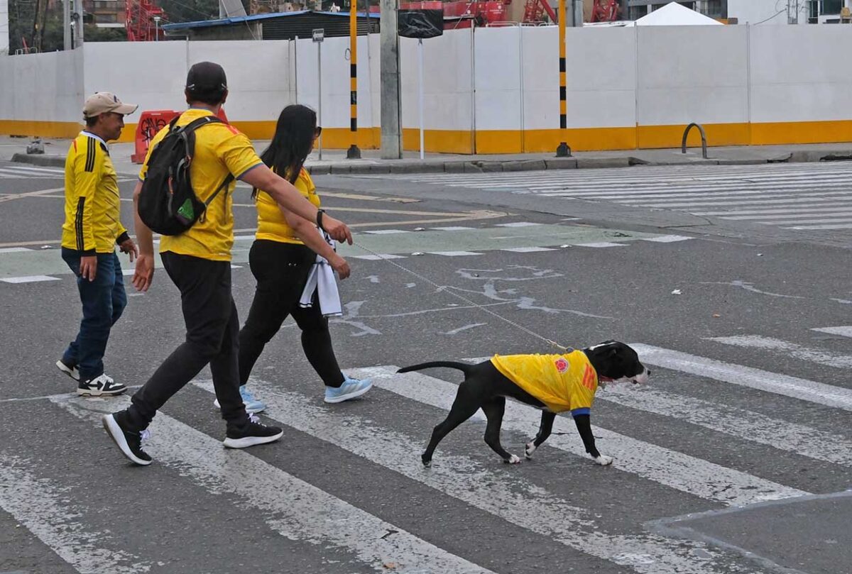 Football Jersey Wars: Are Civil Liberties Being Sabotaged in Colombia's ...